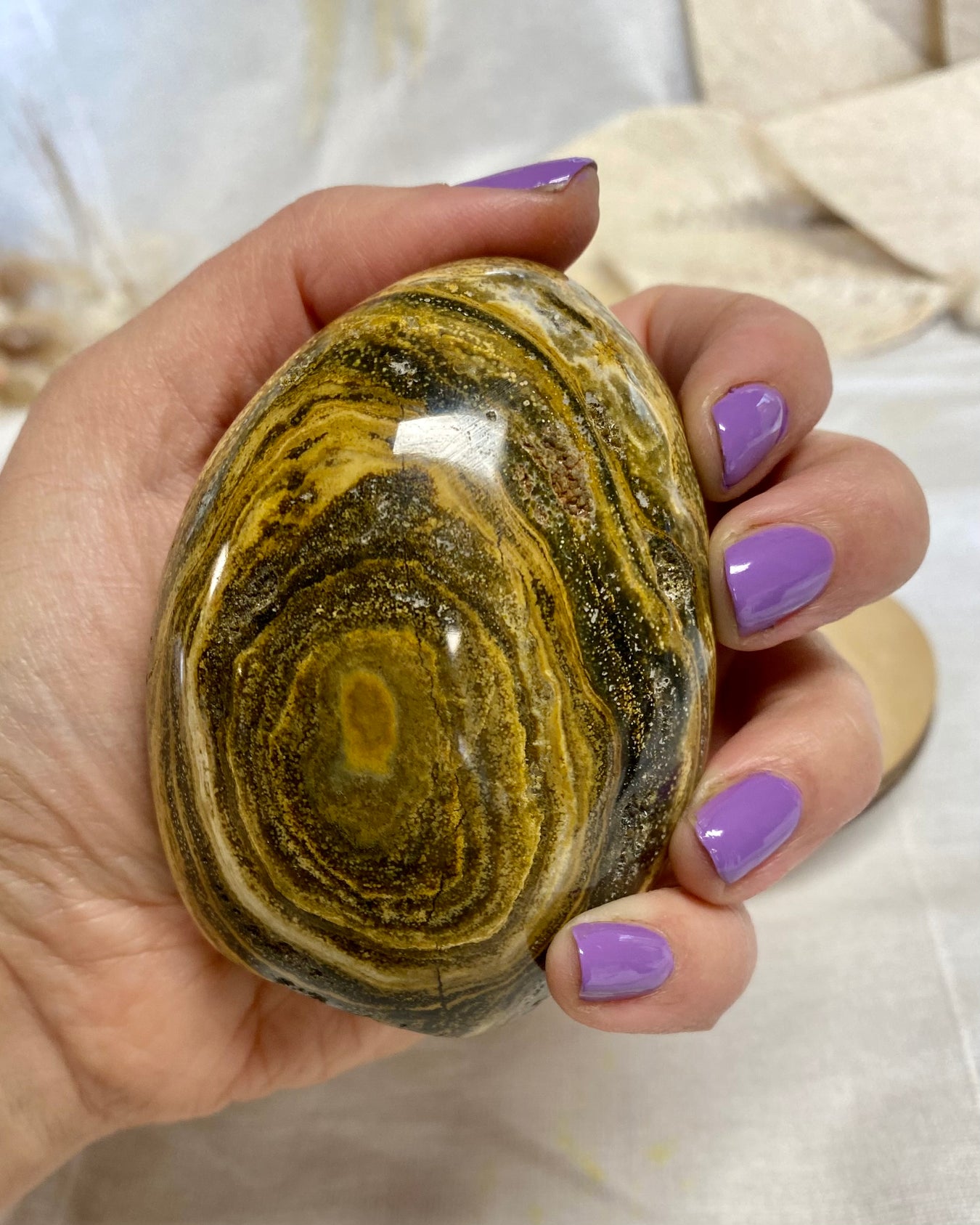 Kymba Store – KYMBA Store