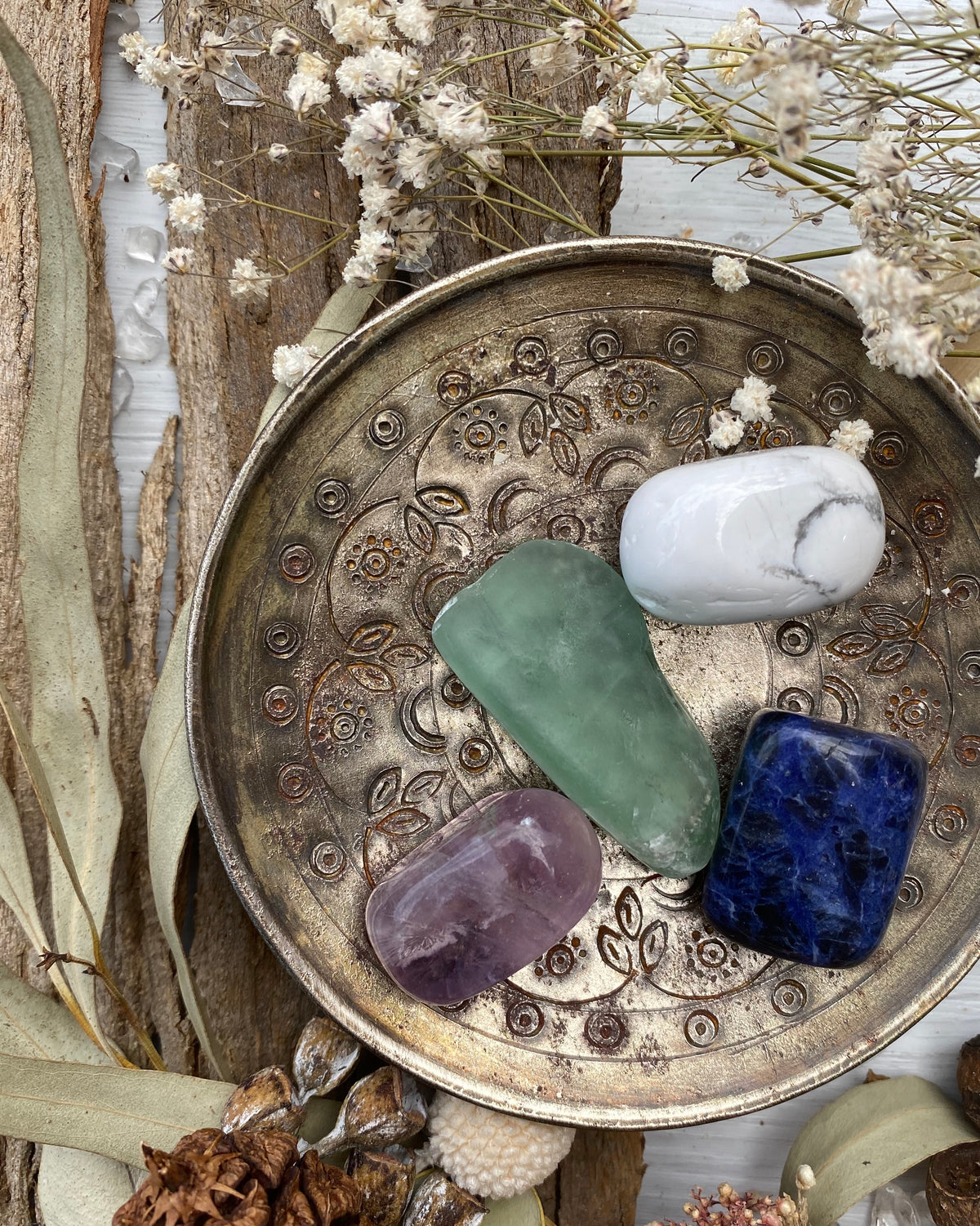 Study Pack – KYMBA Store