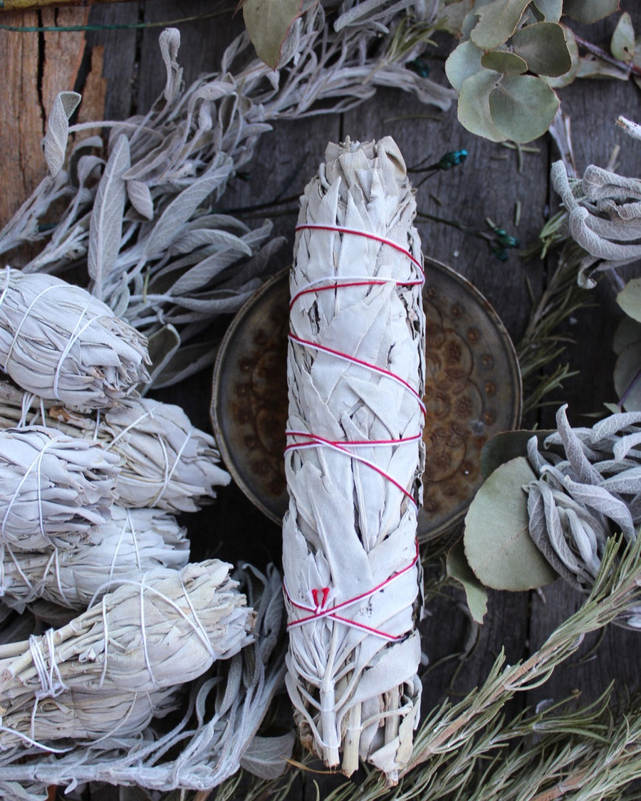 Kymba Store – KYMBA Store