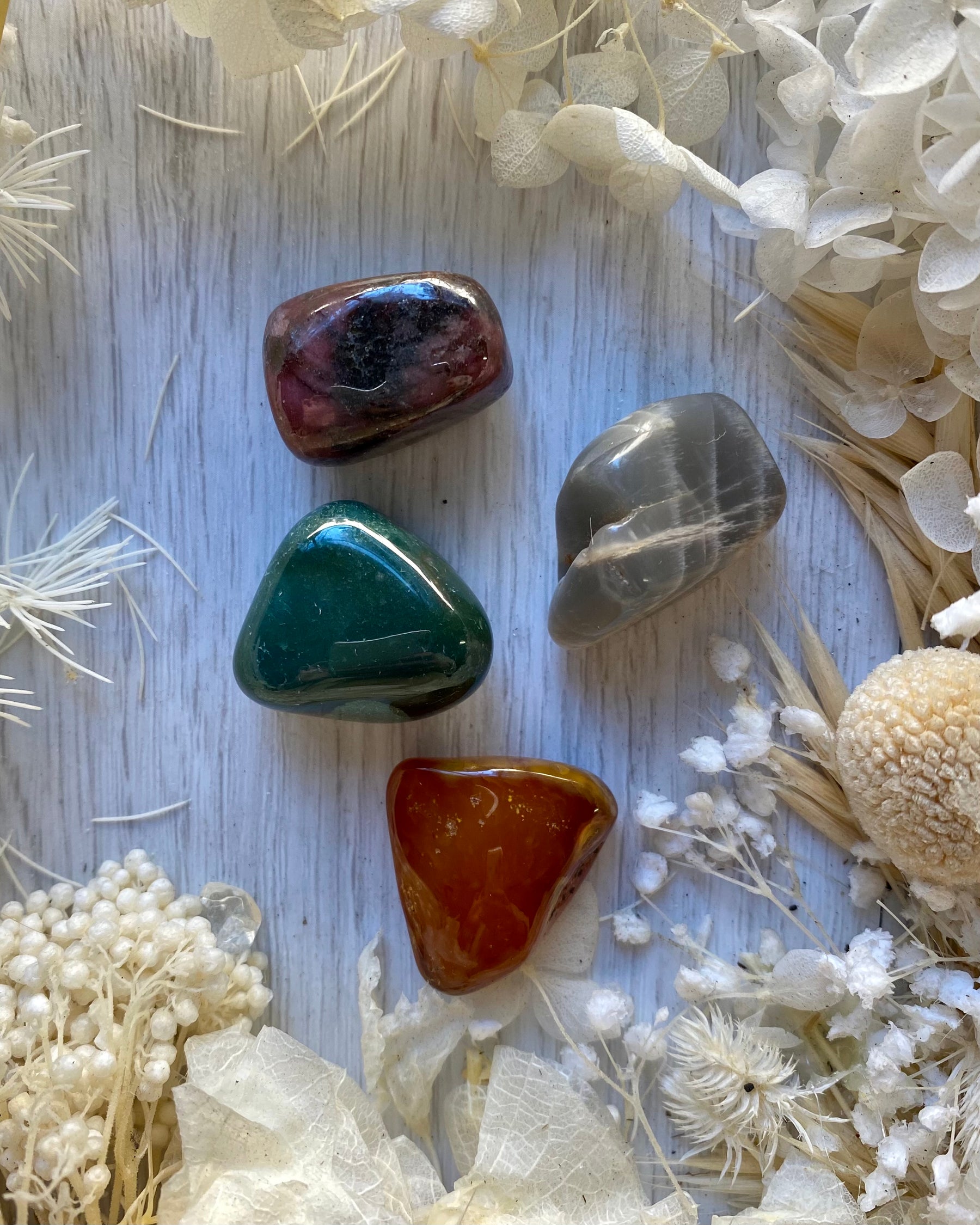 Kymba Store – KYMBA Store