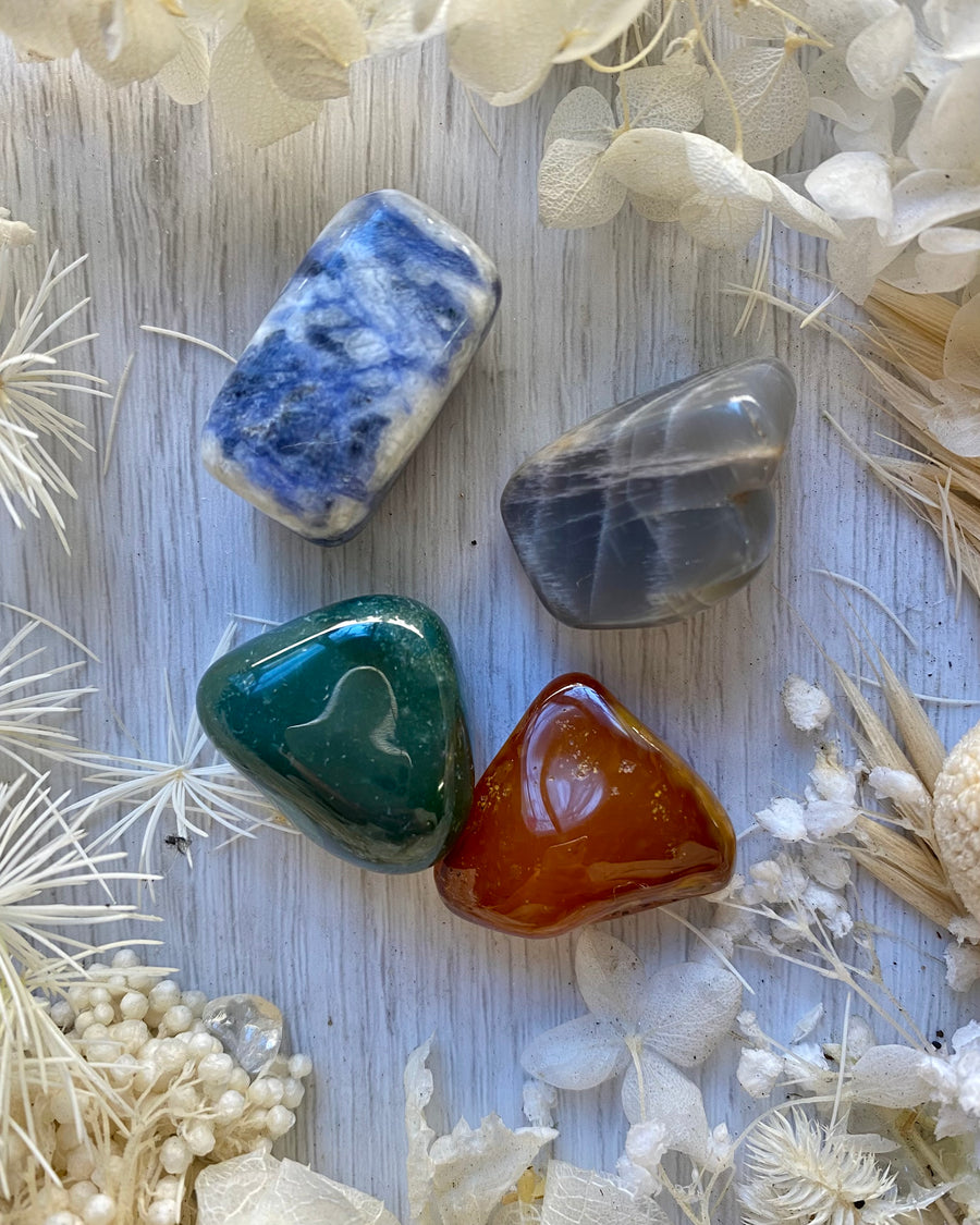 Kymba Store – KYMBA Store