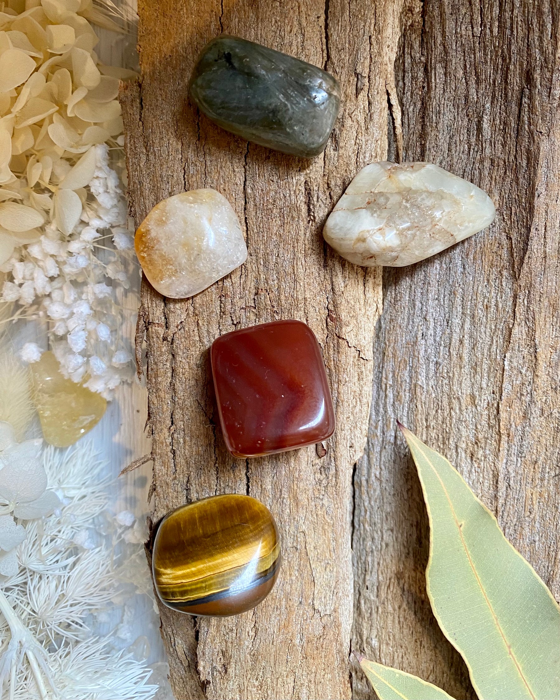 Kymba Store – KYMBA Store