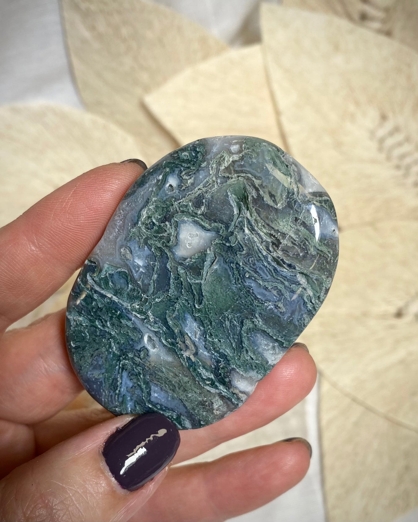 Kymba Store – KYMBA Store